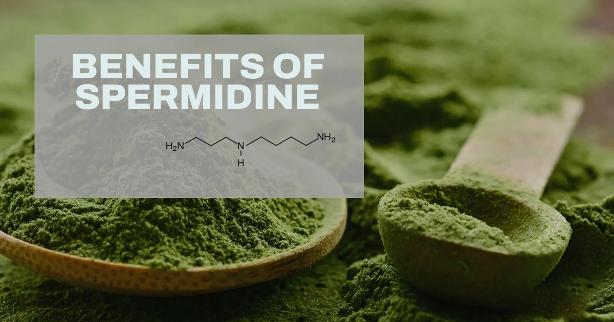 The 3 Main Benefits of Spermidine - New World Health Brands