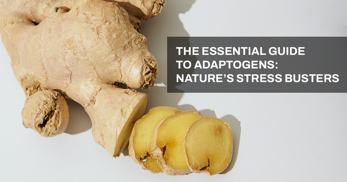The Essential Guide to Adaptogens: Nature’s Stress Busters